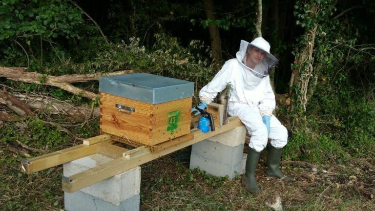 Débuter en Apiculture : Guide Pratique pour réussir