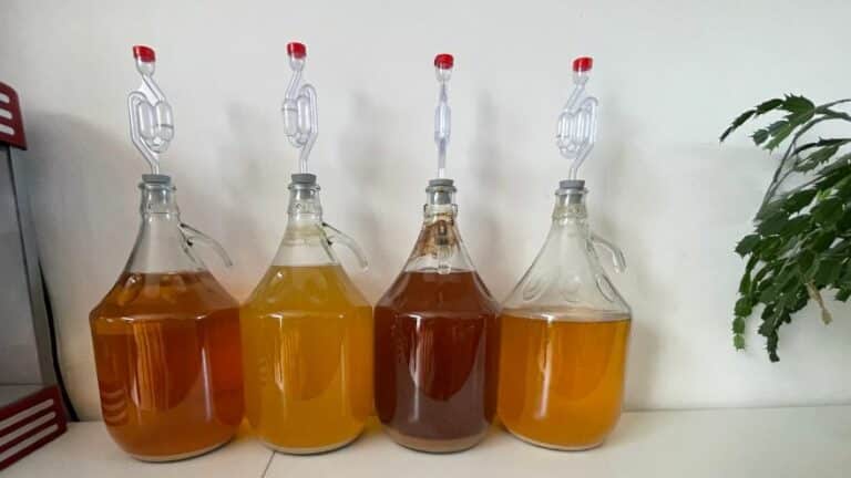 Comment Fabriquer son Hydromel Maison : Un Guide Complet